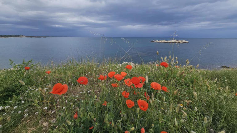 La primavera de la Roca del Cargol