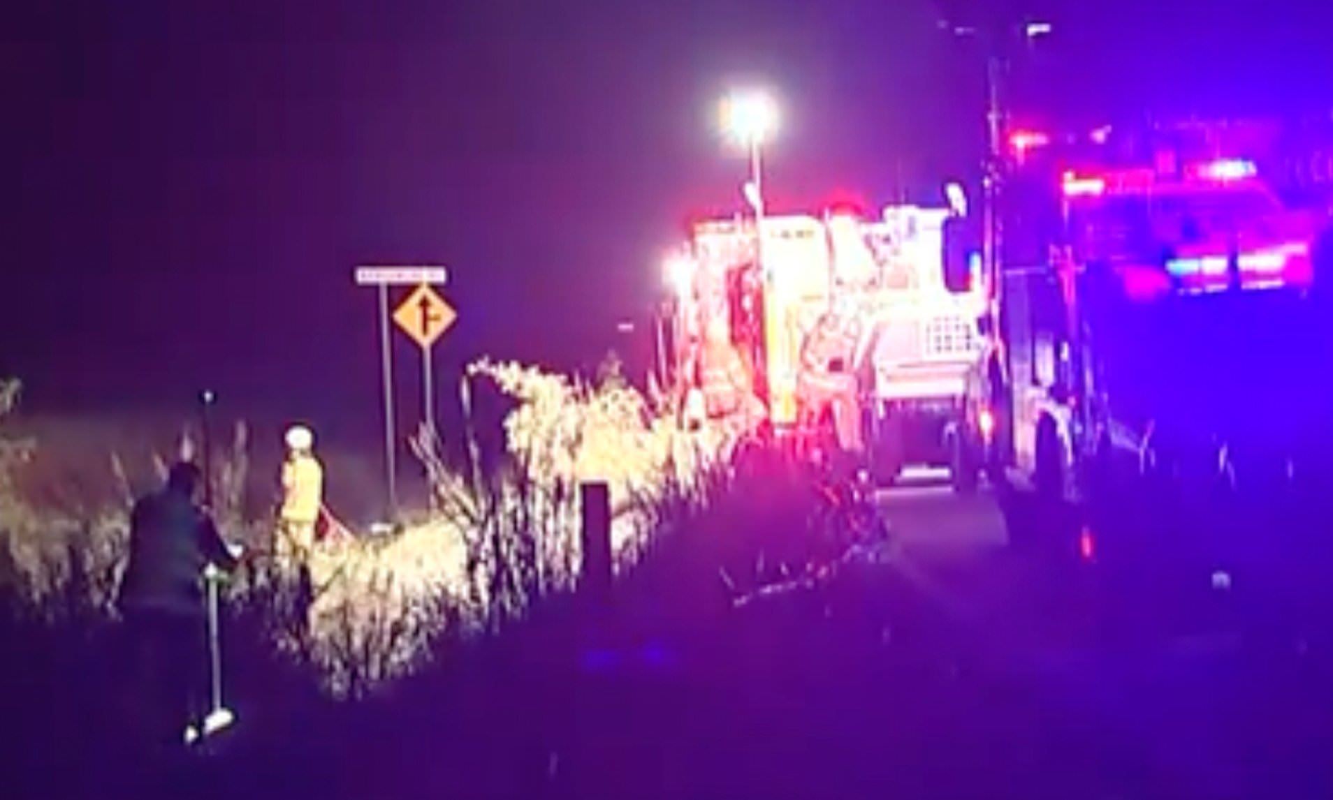 Tragic details emerge about bus passenger who died after horror crash ...