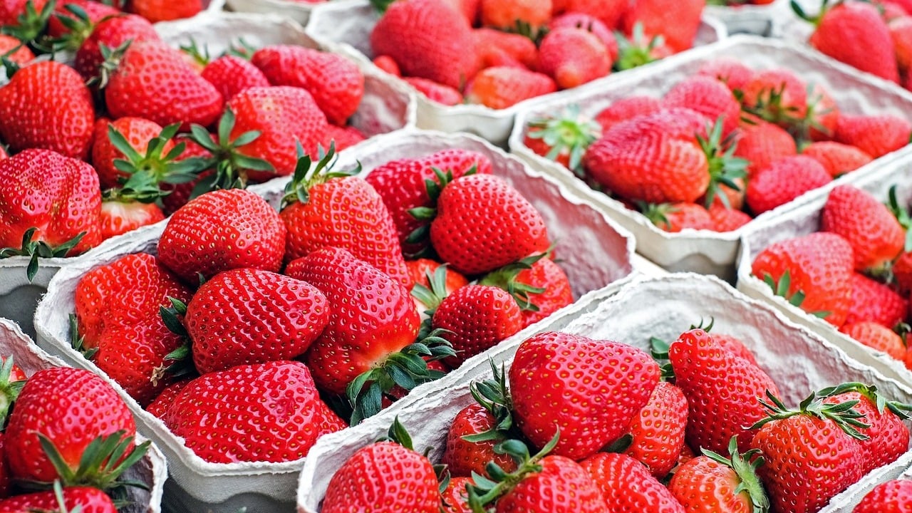 Salzwasser Lockt Insekten Aus Erdbeeren Was Du Wissen Solltest