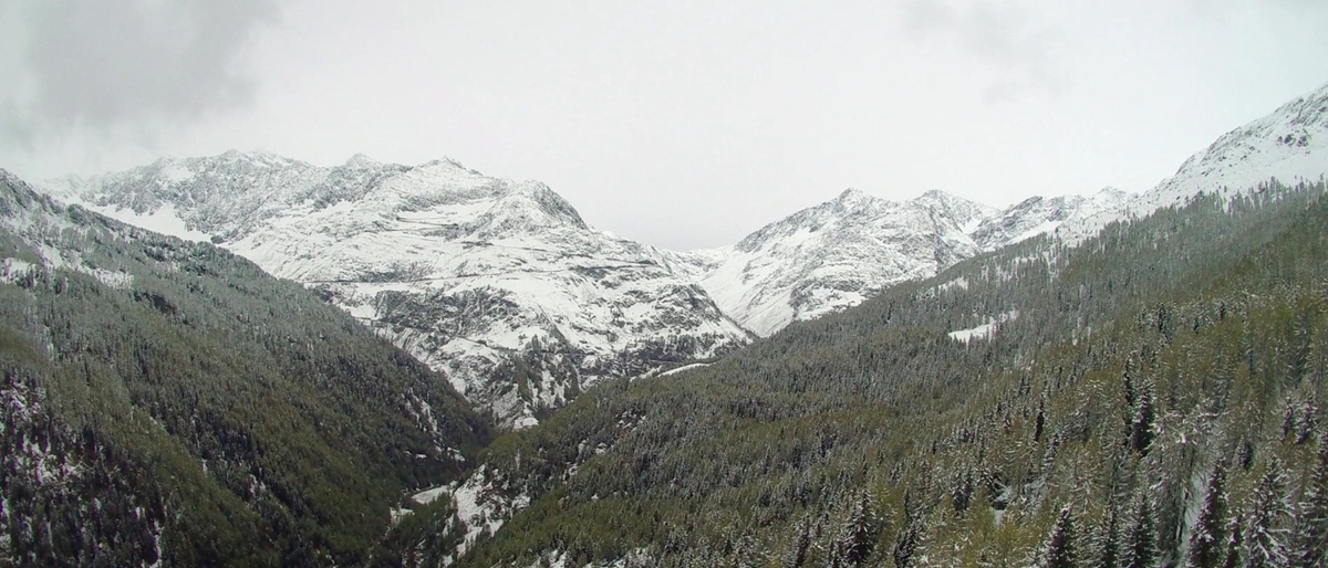 Come da previsioni: è tornata la neve su Alpi e Appennini. Temperature ...
