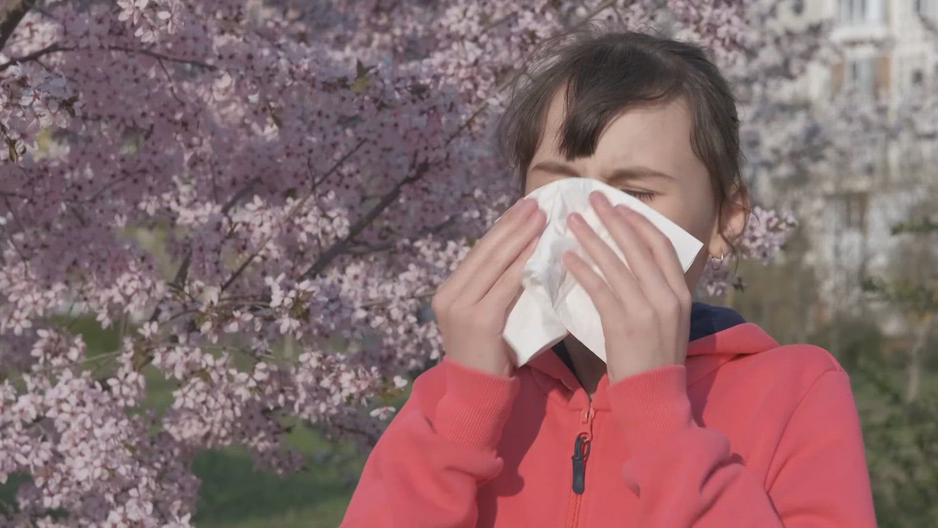 What are adult-onset allergies? Experts say people can develop seasonal ...