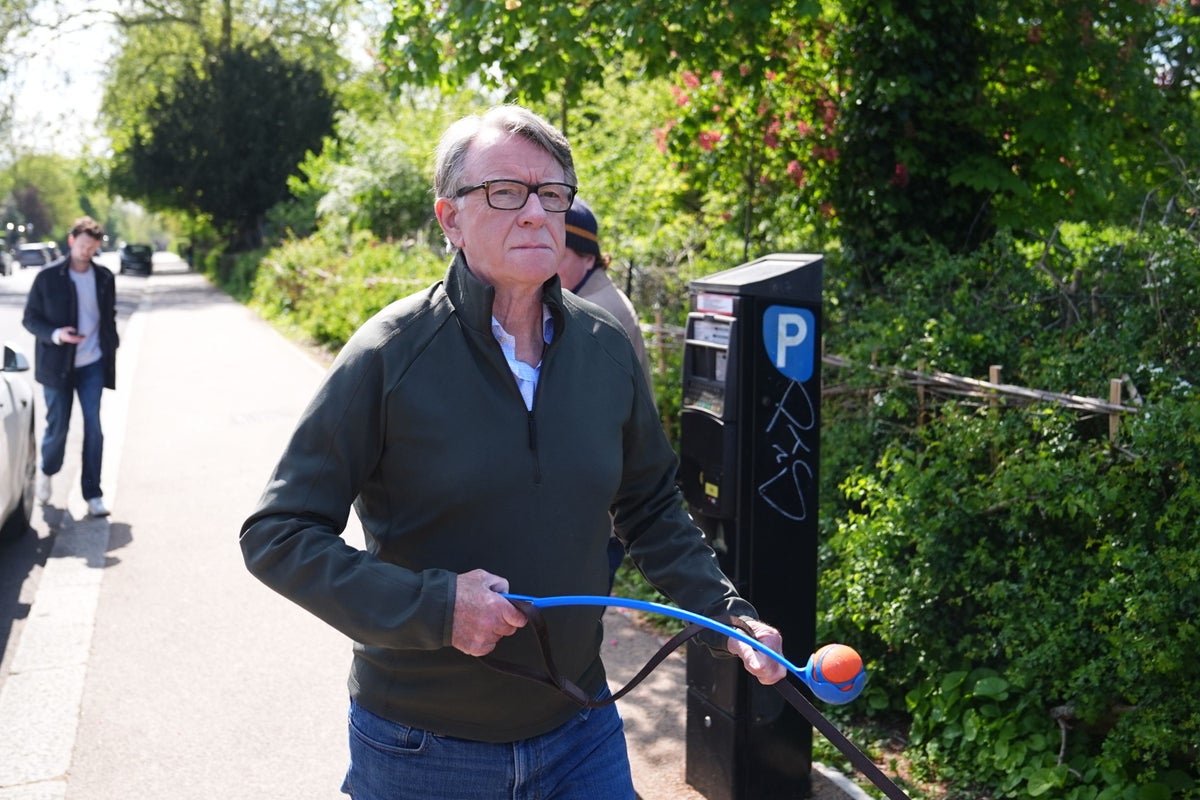 Redactions to Mandelson documents 'too broad', says intelligence watchdog