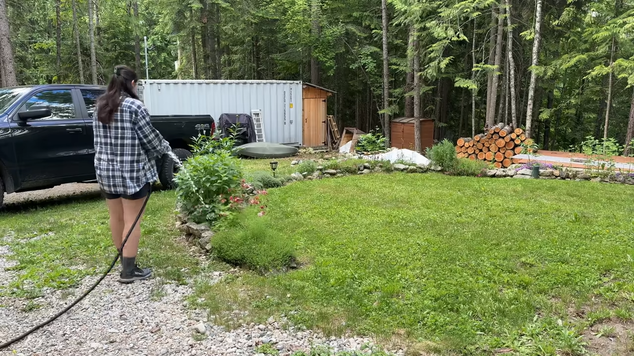 She thought her cabin was quiet... then the cameras caught bears