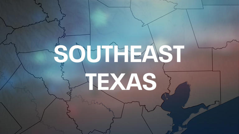 Texas primary runoff election: Southeast Texas sample ballots for May ...