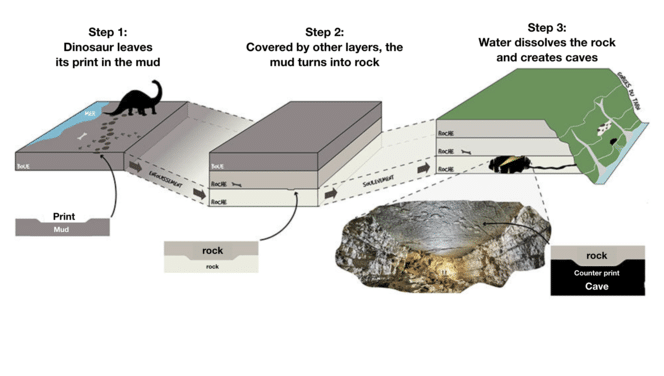 Scientists found massive dinosaur footprints on a cave ceiling from a ...