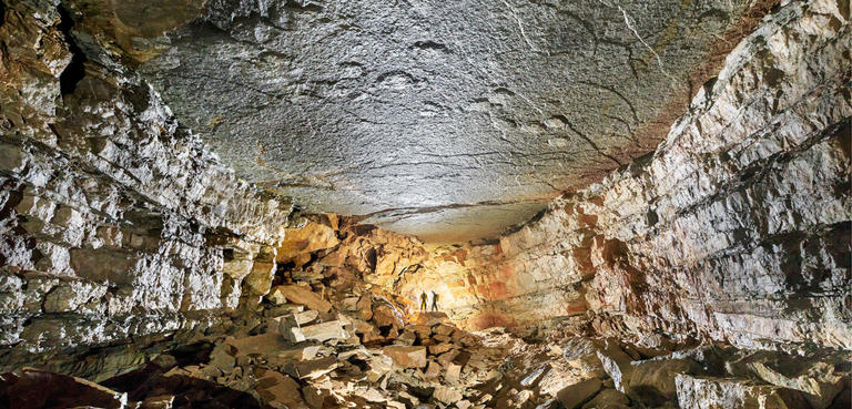 Scientists found massive dinosaur footprints on a cave ceiling from a ...