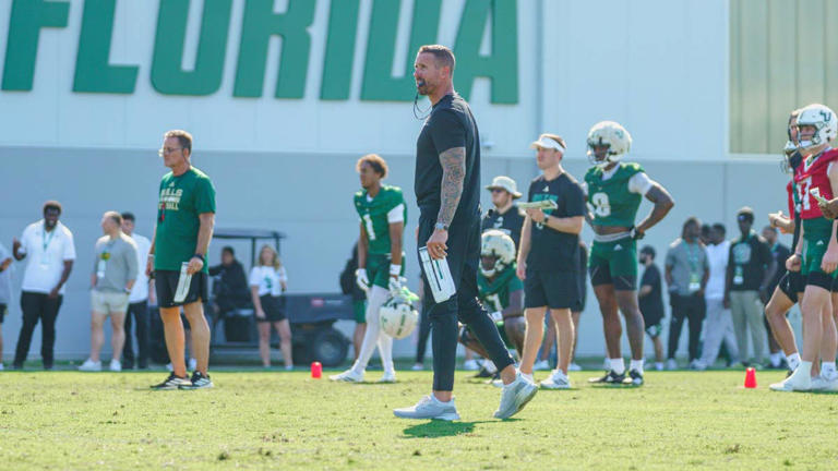 Brian Hartline Q&A: USF Bulls coach talks recruiting, transfer portal ...