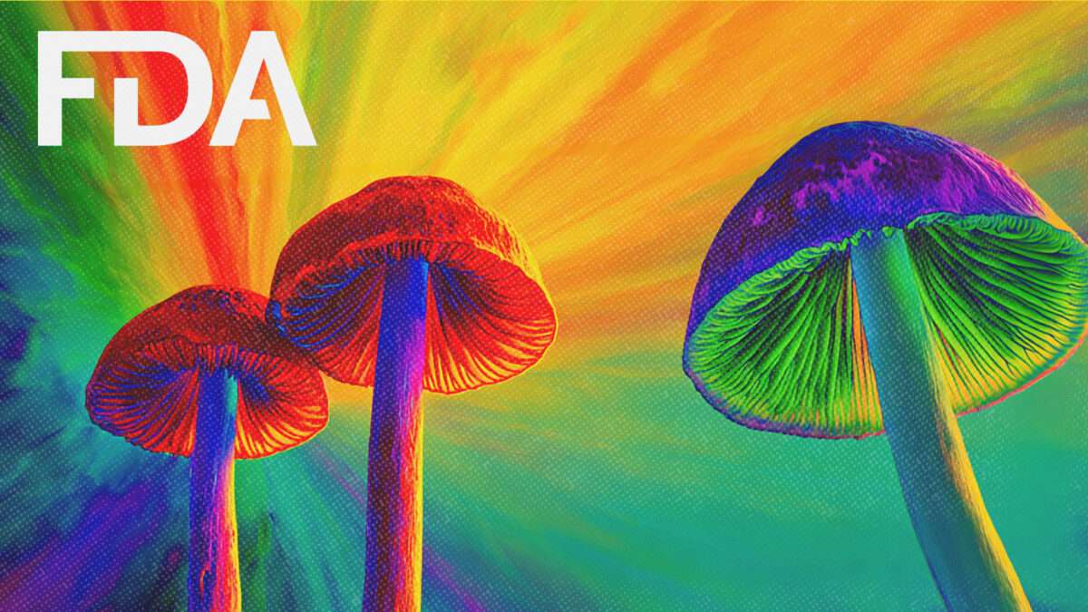 The FDA's new psychedelic rules are groovy, but the agency is still a ...