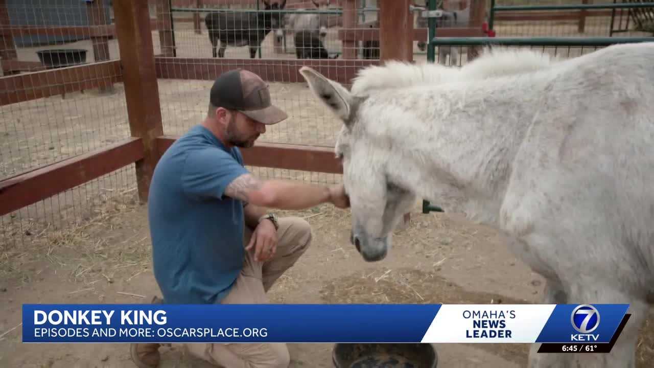 Show lead Ron King talks 'Donkey King' with KETV