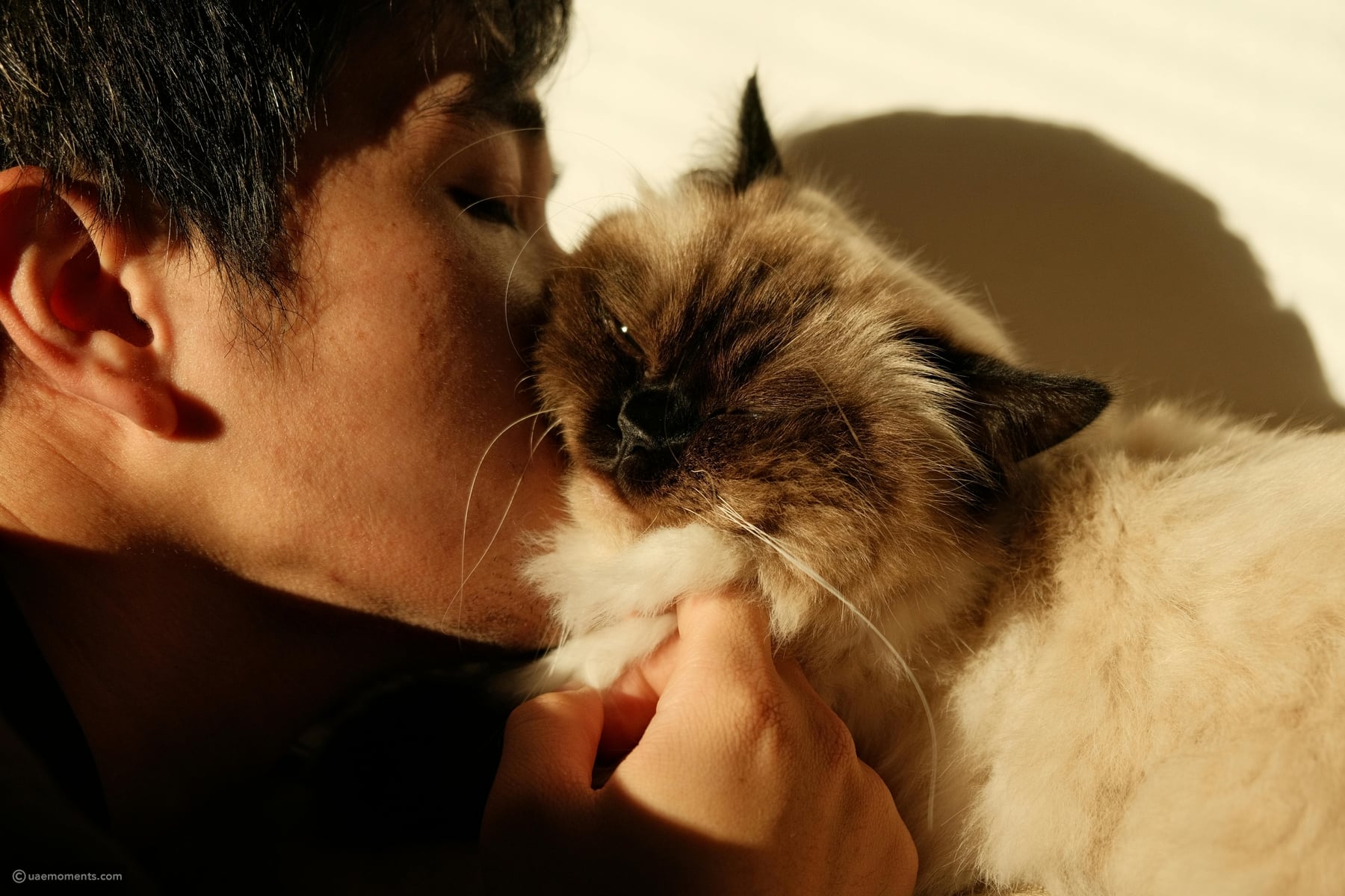 Cats really do choose their humans, and science may prove it