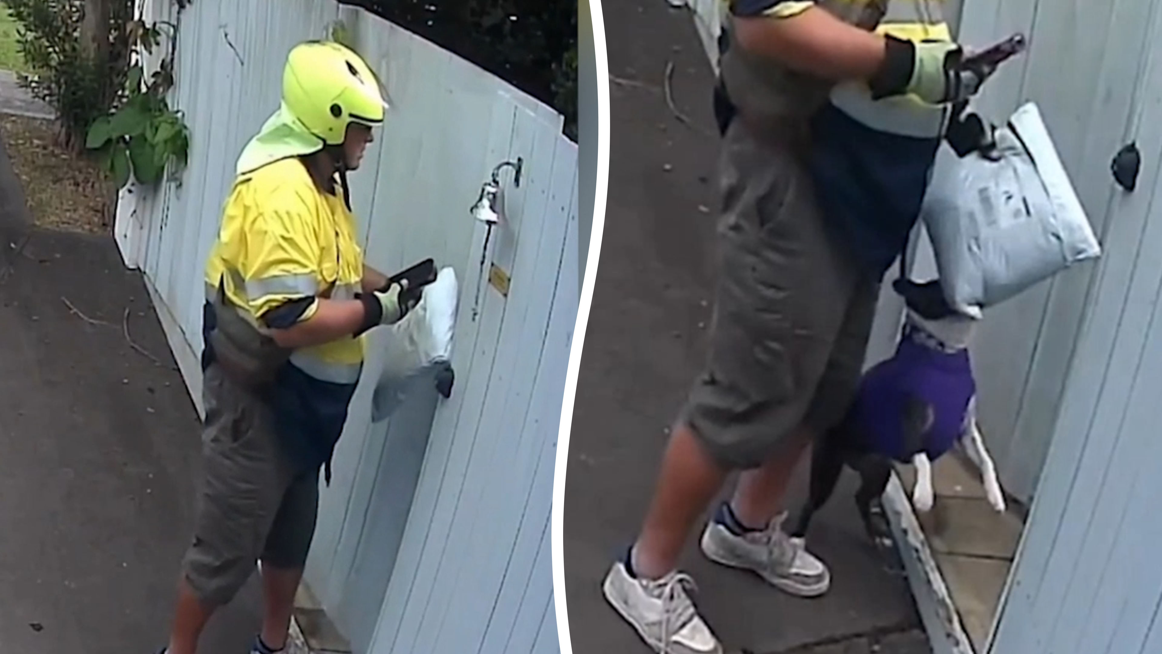 Dog snatches parcel straight from delivery driver