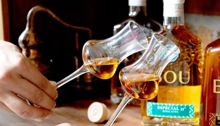 Mes del pisco en Chile: cuándo se celebra y cuáles son los piscos ...