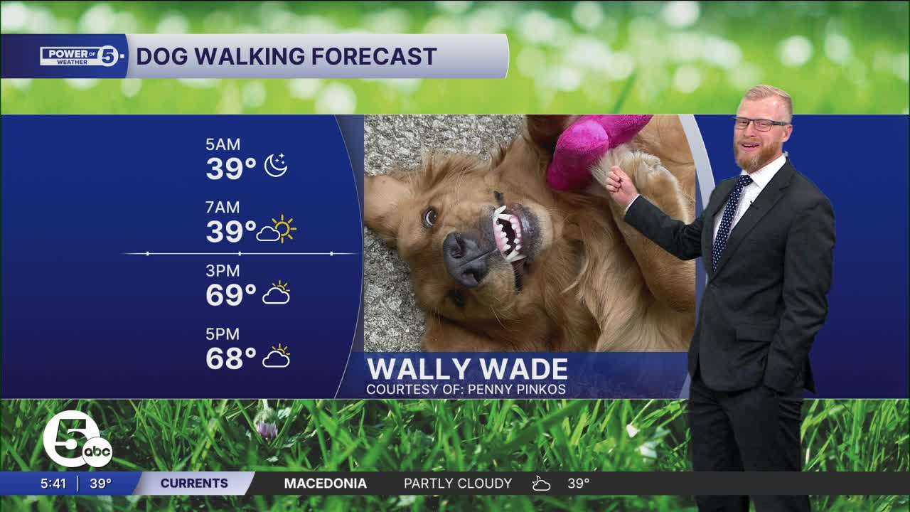 Meet Wally Wade!