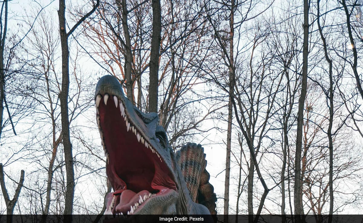 Scientists find fossils of Southeast Asia's giant dinosaur in Thailand