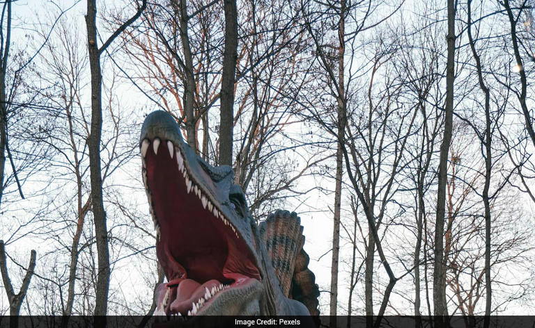 Scientists find fossils of Southeast Asia's giant dinosaur in Thailand