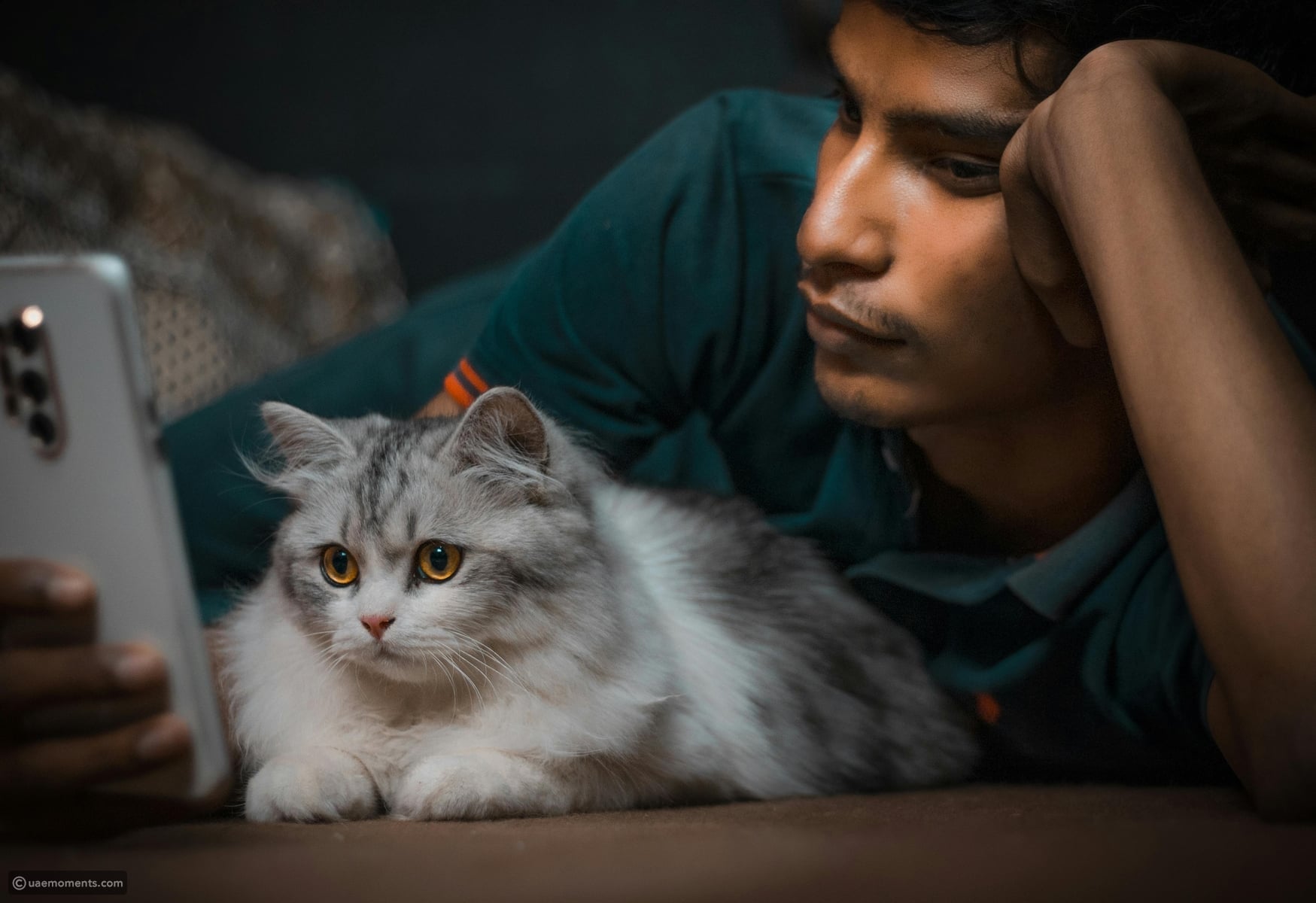 Cats really do choose their humans, and science may prove it
