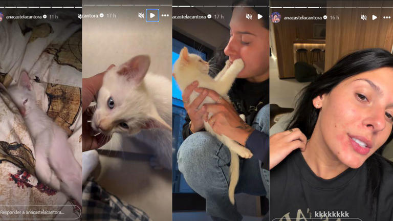 Eita! Ana Castela foi brincar com gatinho e acabou tendo reação alérgica