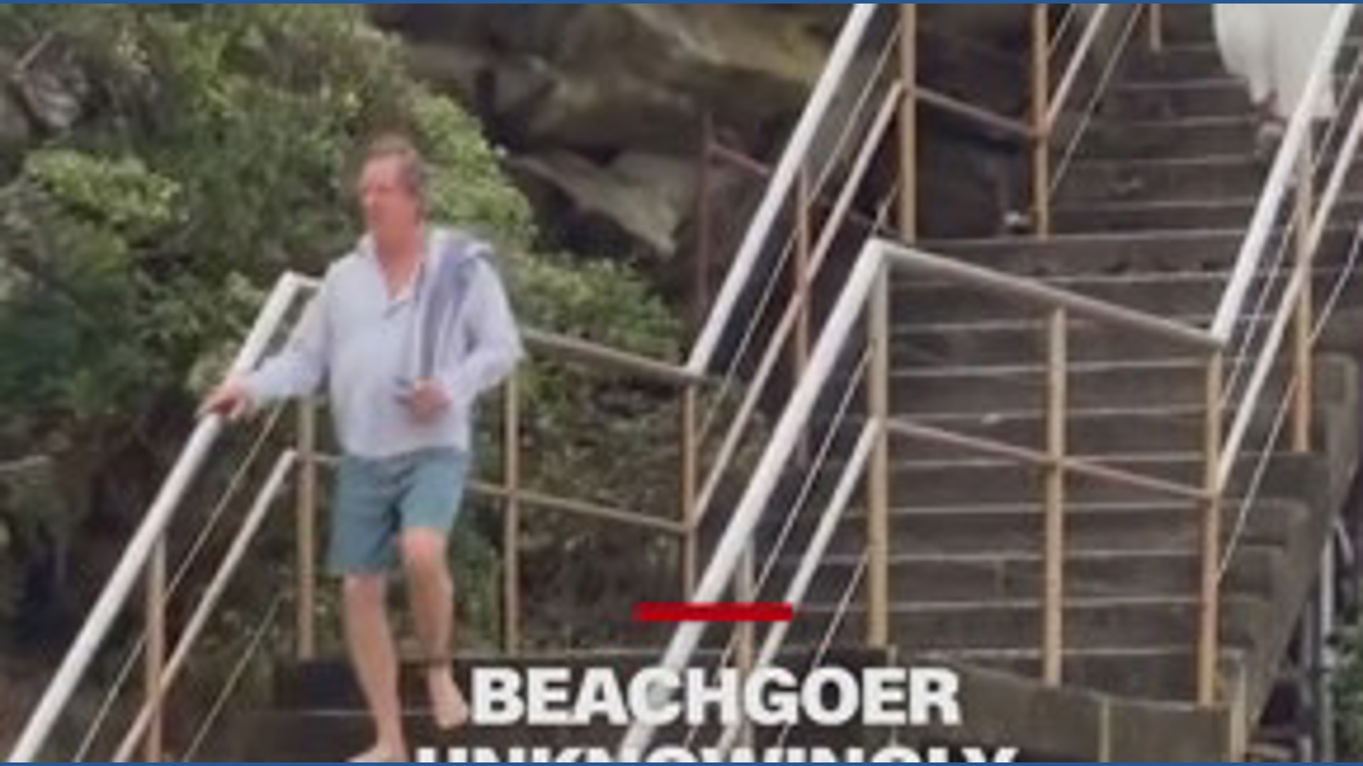 Beachgoer unknowingly crashes fashion show in Australia