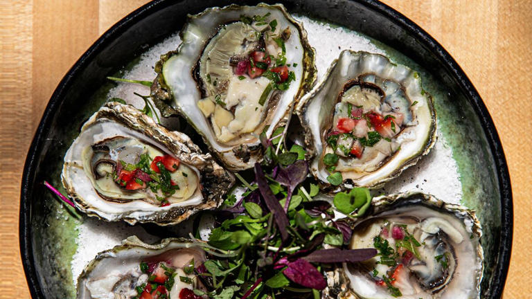 A modern Japanese restaurant opens in South Tampa next week
