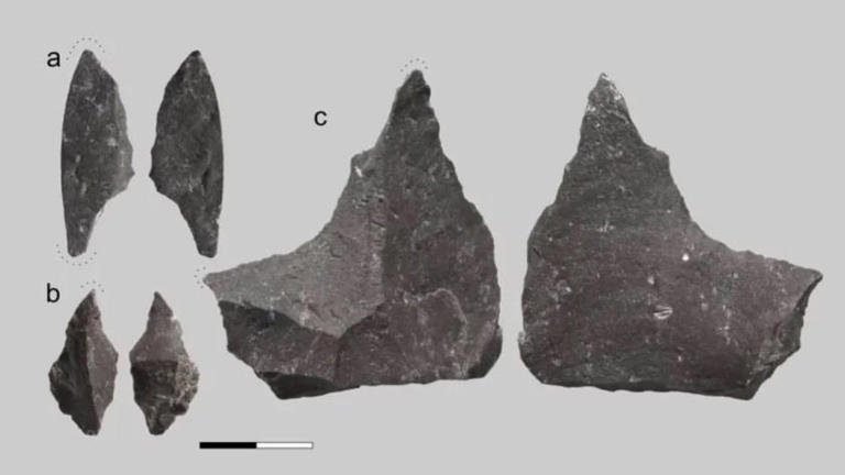 Scientists uncover 59,000-year-old Neanderthal tooth in Siberian cave ...