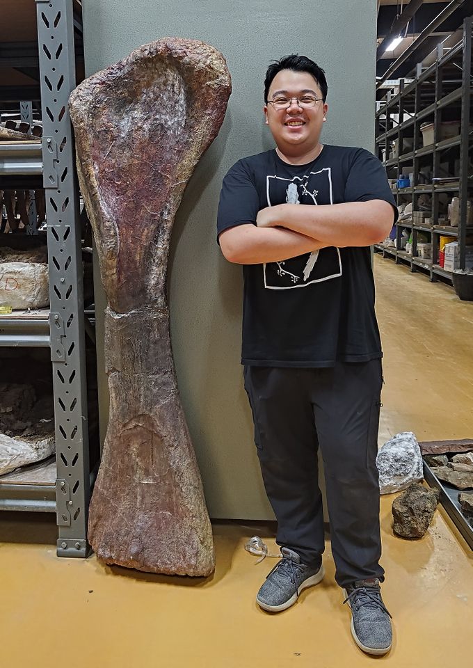 Giant new dinosaur identified from 'strange-looking rocks' found in pond