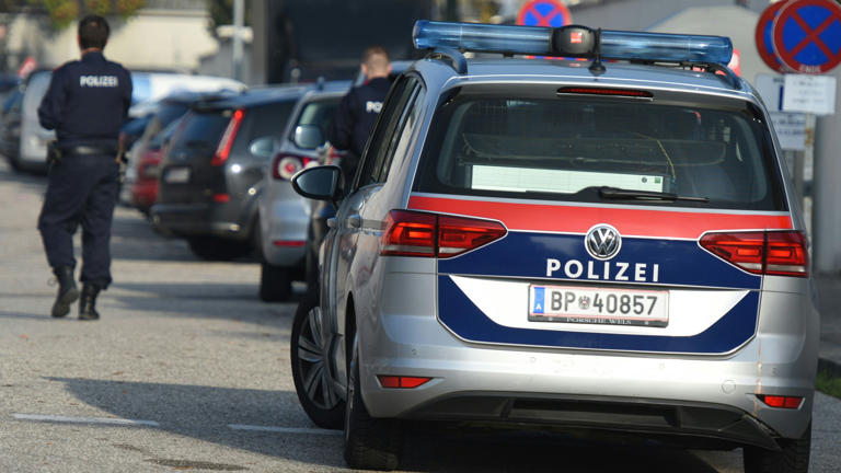 Mit Kopfschuss getötet: Frau arbeitete an Wiener Schule