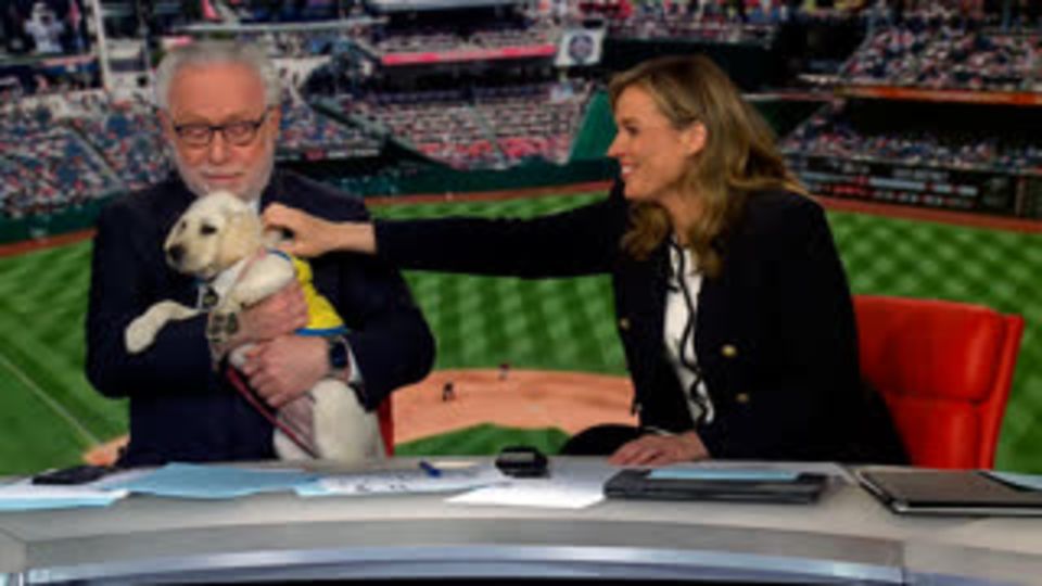Meet Natty: The Washington Nationals’ newest team prospect!