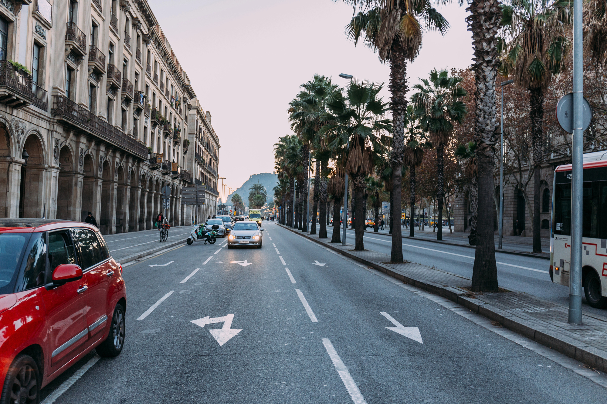 Photos of road markings every driver should know