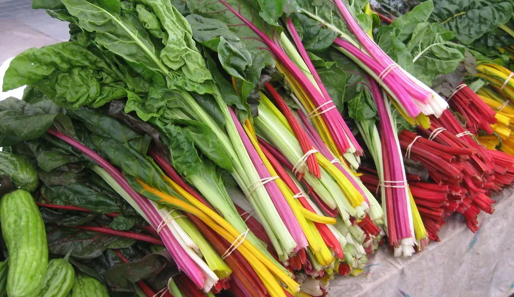 7 leafy greens for people who are officially bored of spinach