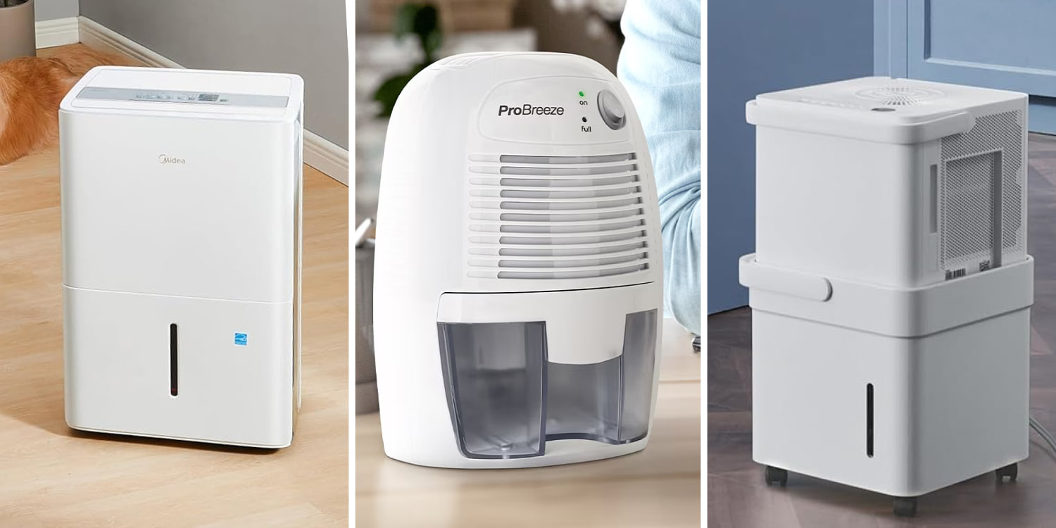 The best dehumidifiers of 2026, according to experts
