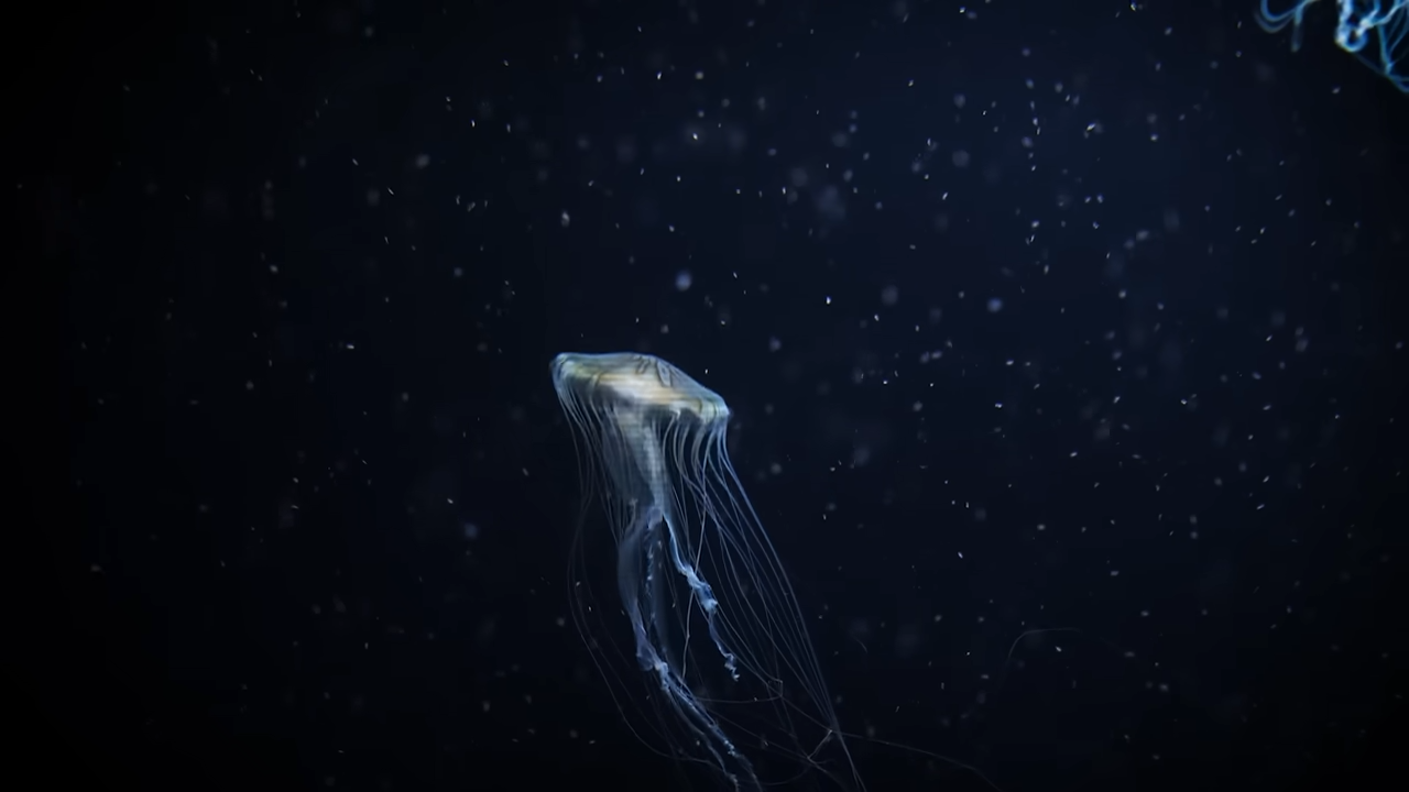 Alien life sounded almost confirmed — until the last standard of proof held