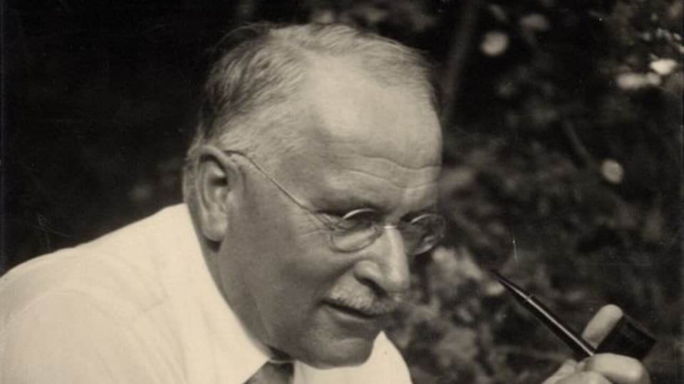 Quote of the day by Carl Jung: 'Everything that irritates us about ...