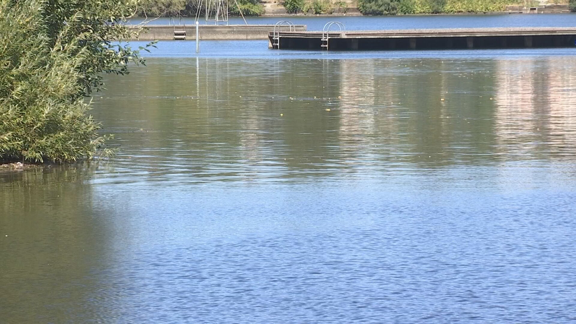 Toxic algae bloom prompts 'stay out of the water' warning at Green Lake