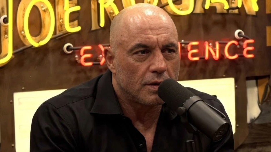 Joe Rogan hosted ex-CIA operatives - and the Epstein plot twist just ...