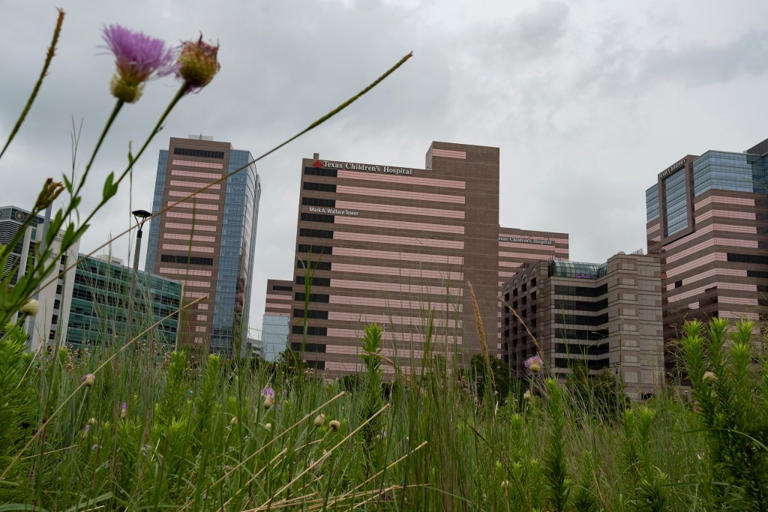 Texas Children’s Hospital must create country’s first detransition ...