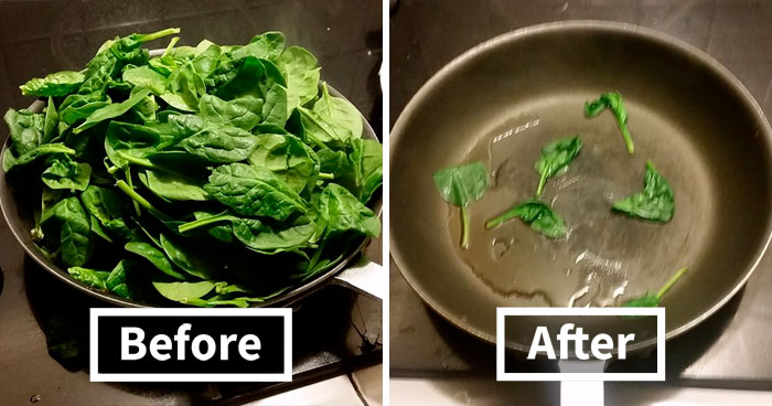34 hilarious food memes for your lunch break