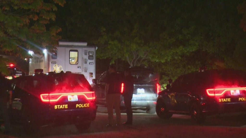 Suspect shot, killed by police after pointing gun at officers during ...