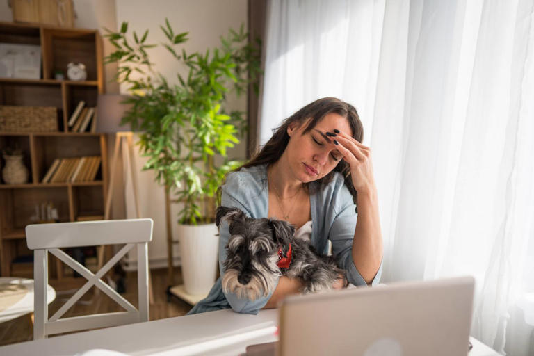 8 jel, hogy a kutyád folyamatos stresszben él: a legtöbb gazdi nem ...