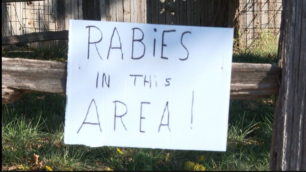 Skunk in Haskell County tests positive for rabies after encounter with dogs