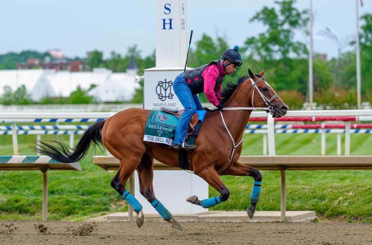 Trainer Todd Fincher eyes first ever Preakness Stakes victory