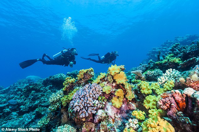 University professor and daughter among 5 killed diving in Maldives