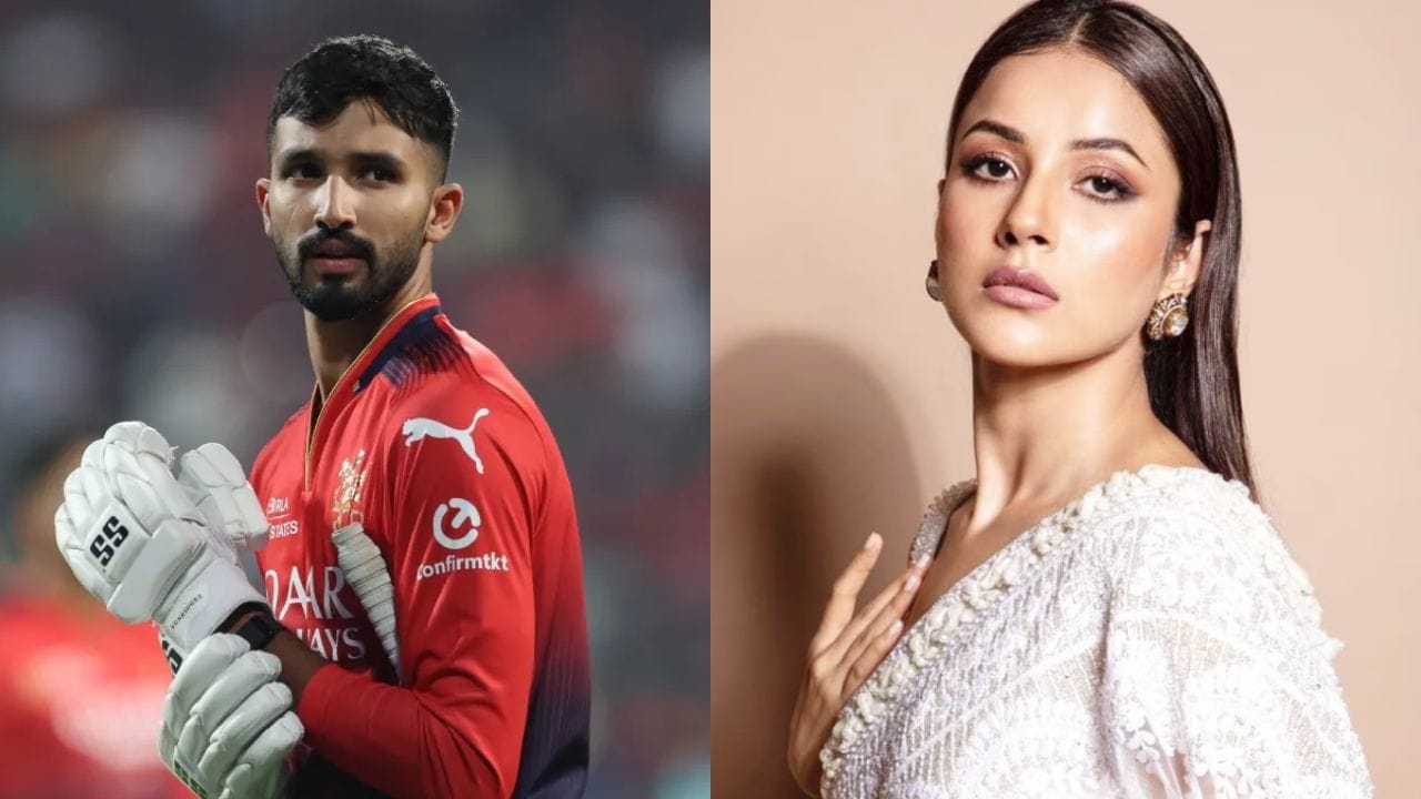 Has Shehnaaz Gill found love again in RCB cricketer Devdutt Padikkal ...