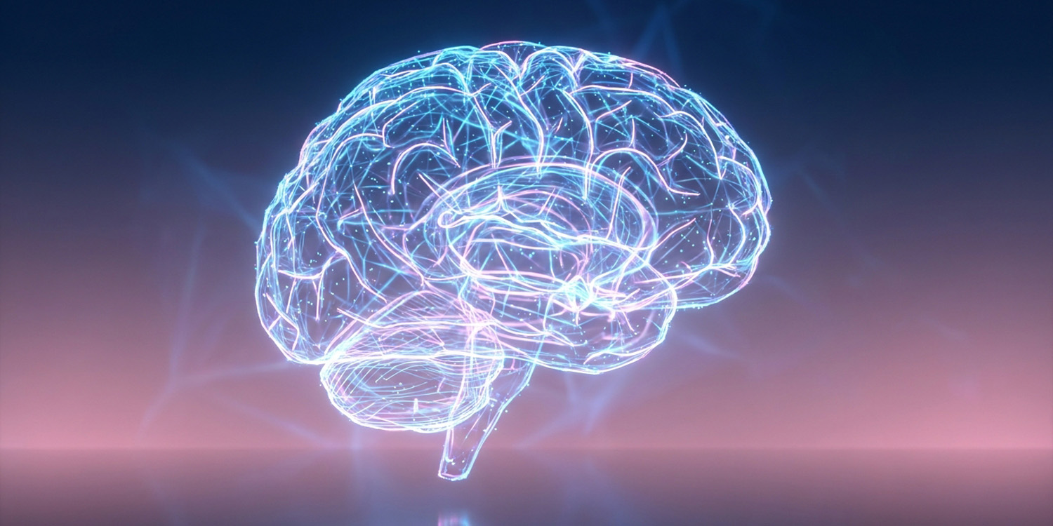 Puberty hormones shape the adolescent female brain before physical ...