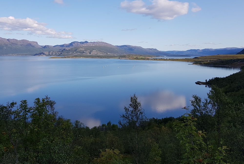 Cruise routes made for bucket list trips