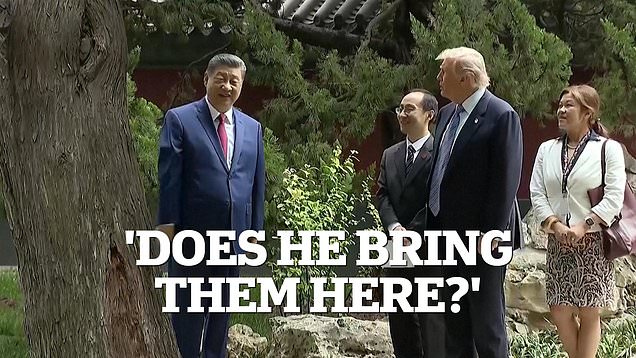 Trump brushes off Xi's 300-year-old trees with one question