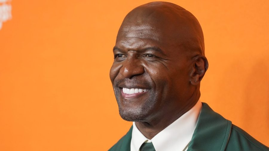 Food Network taps Terry Crews for new competition series '100 Cooks'