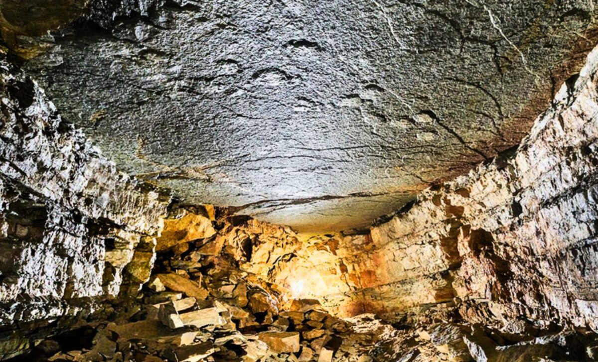 Scientists found massive dinosaur footprints on a cave ceiling from a ...