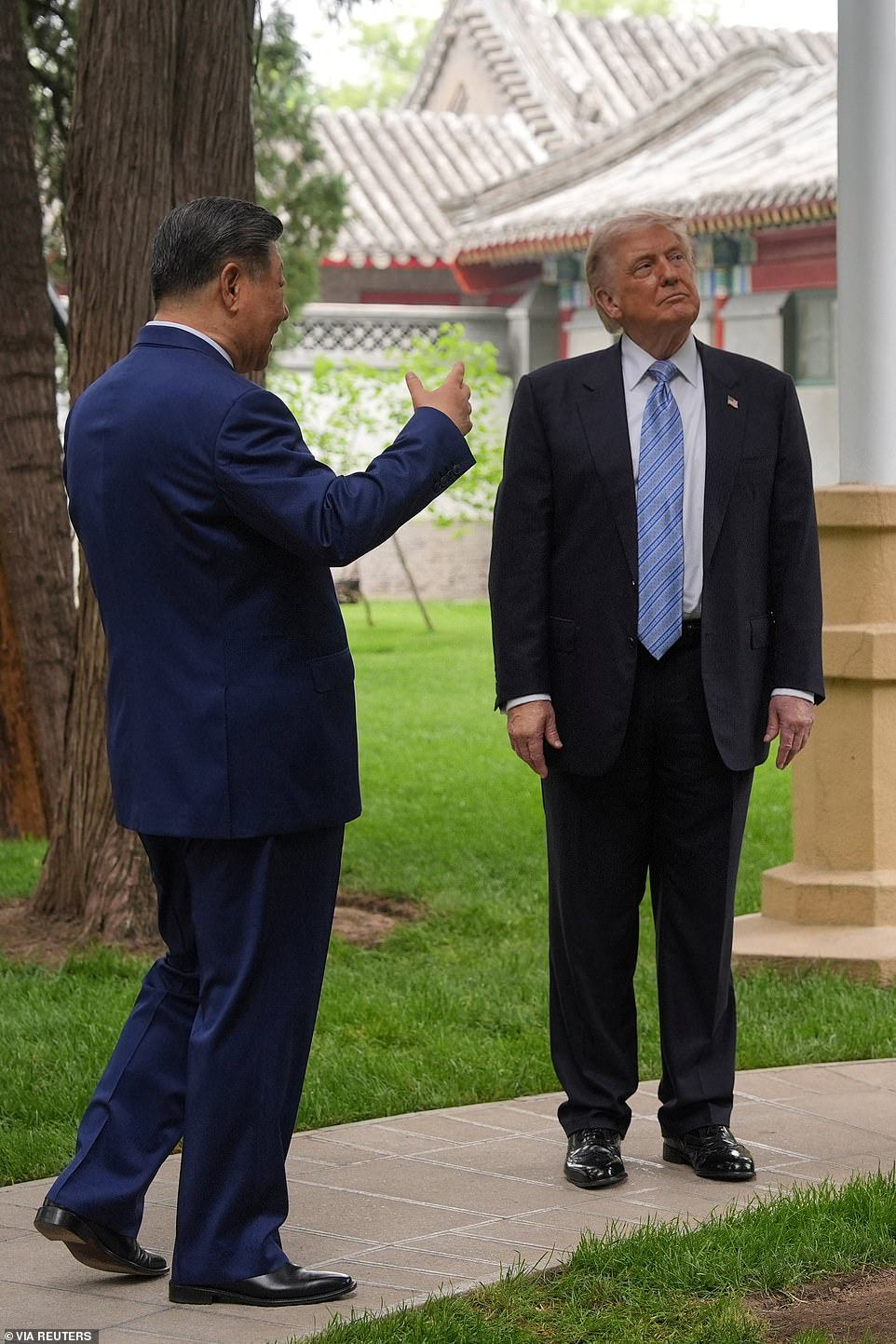 Trump brushes off Xi's 300-year-old trees with one question