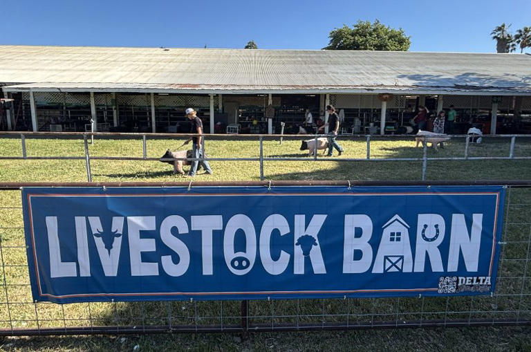 Fun at the fair: Contra Costa County event launches Bay Area summer ...