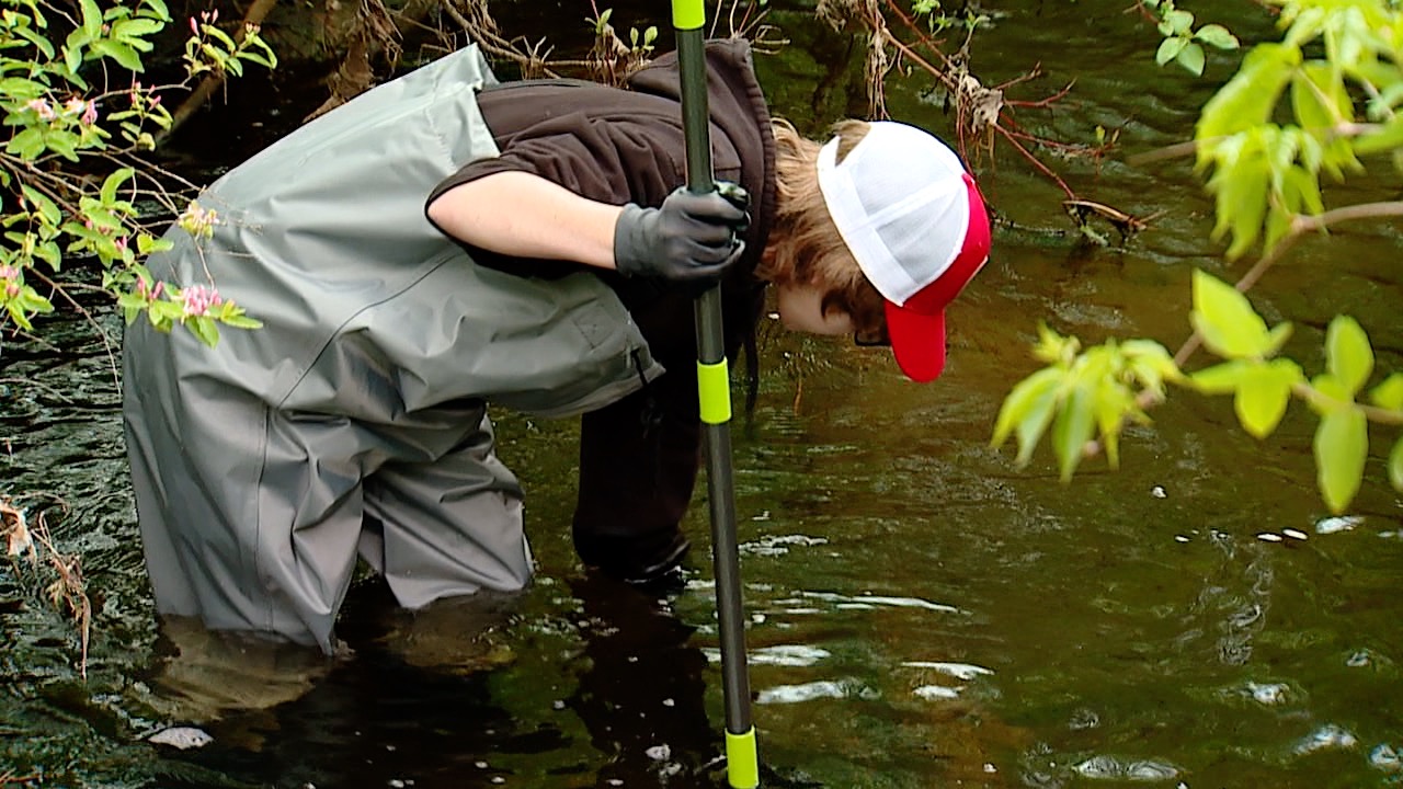 Volunteers clean up Cedar Creek in Cedar Springs